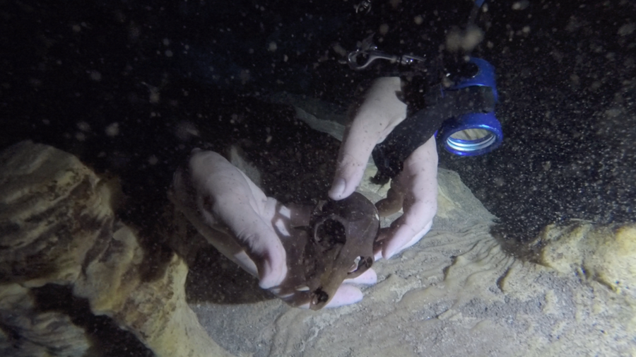 Paleontology in the Flooded Caves of Madagascar – Shearwater Research Inc.