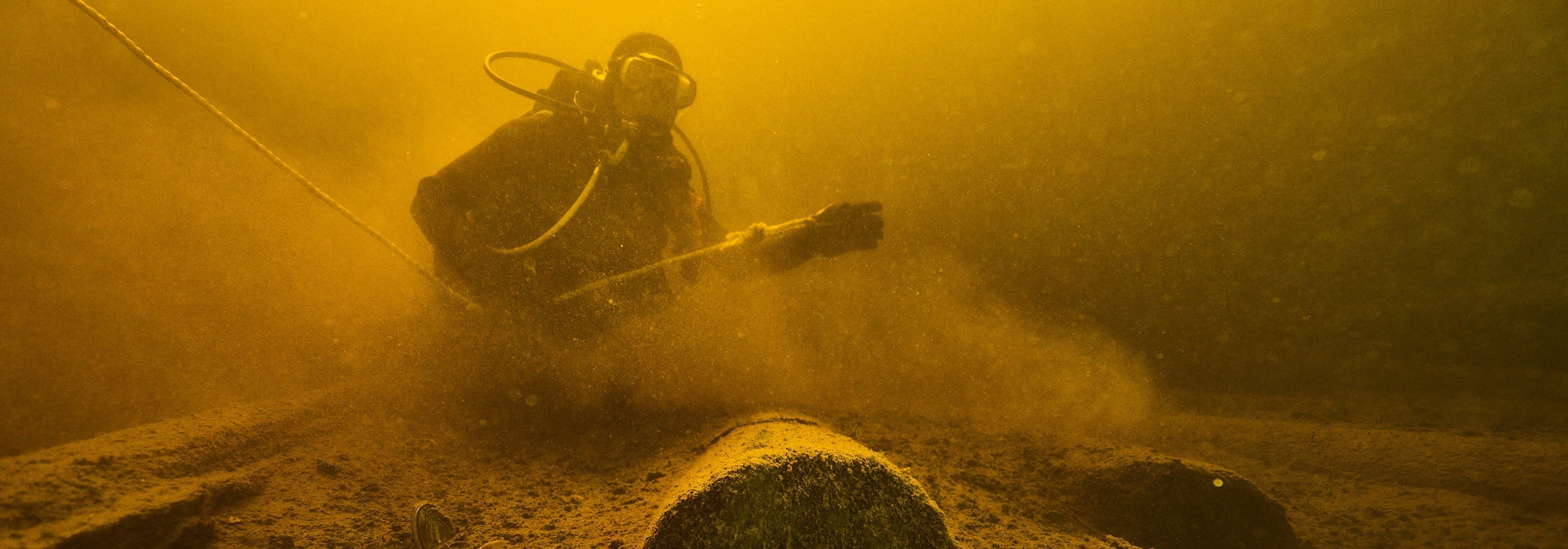 The Submerged Timber Diver – Shearwater Research Inc