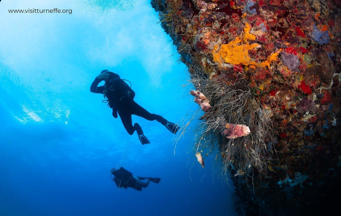 Shearwater Sponsors ScubaBoard Invasion in Belize – Shearwater Research Inc
