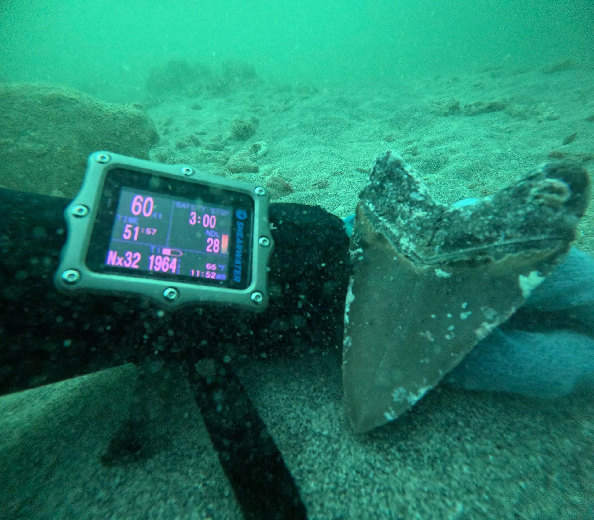 Diving into Florida’s Prehistoric Past – Shearwater Research Inc