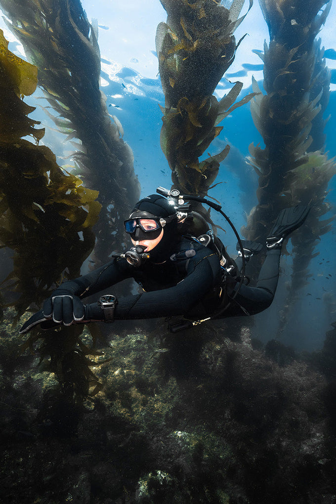 AVELO MODE – Shearwater Research Inc.