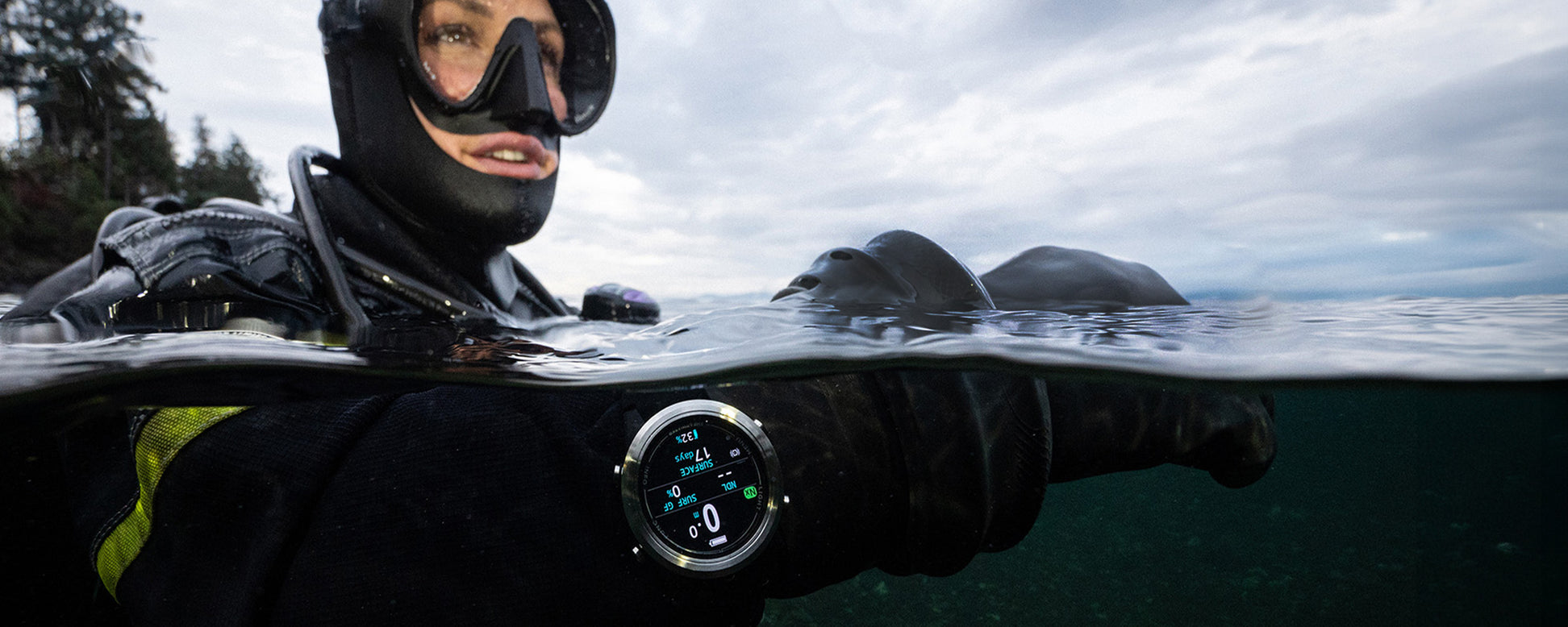 Tern – Shearwater Research Inc.