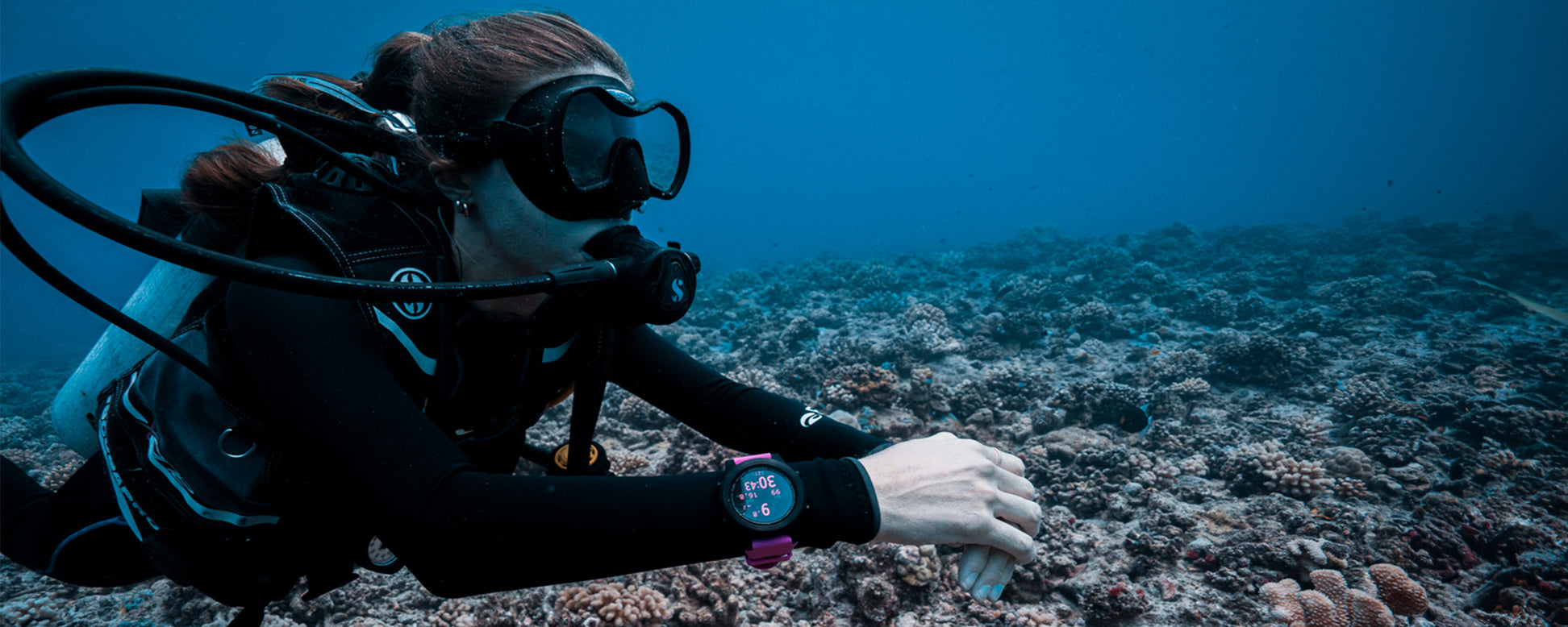 Tern TX – Shearwater Research Inc.
